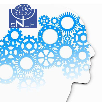 Journée d'Hiver de la SLNF 2021 - Fédération des Centres Mémoire